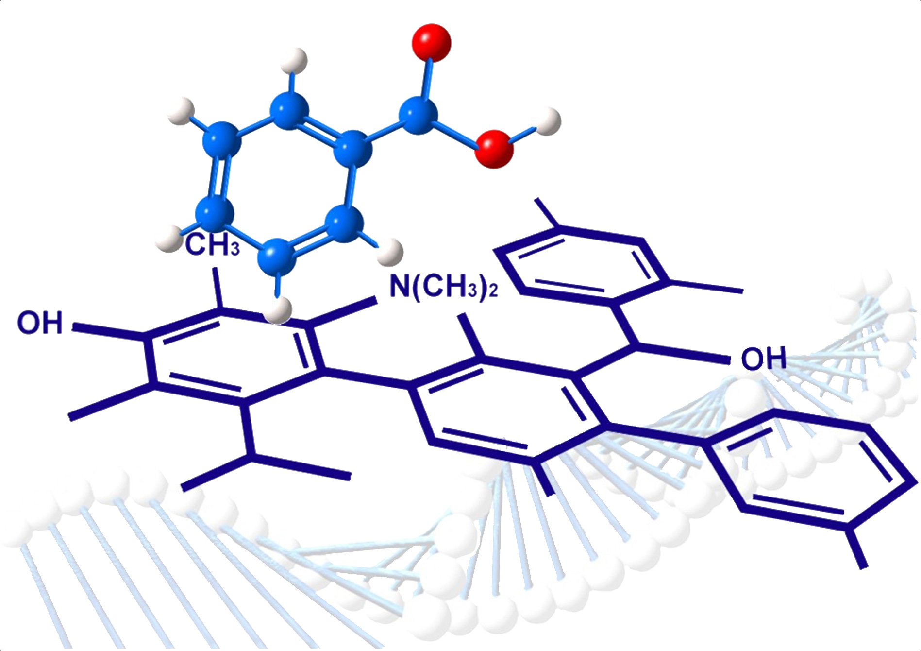 Biomaterials Internatinal 2026